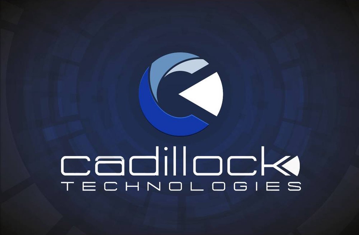 Cadillock Smart Accubewaker 6 V, 12 V, 24 V Laadcontrole, Accutest ...