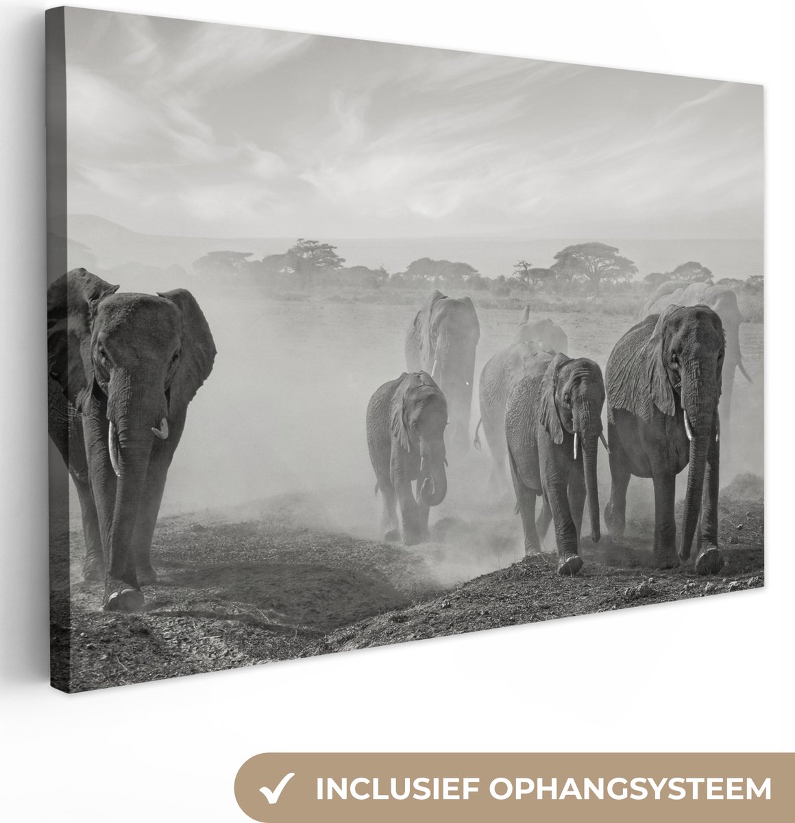 Canvas schilderij - Olifant - Dieren - Zwart - Wit - Natuur - Foto op ...