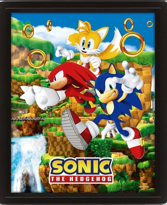Sonic The Hedgehog Catching Rings - Framed 3D Poster | bol.com