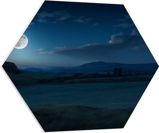 PVC Schuimplaat Hexagon - Maan - Bergen - Gras - Nacht - Bomen - Wolken ...