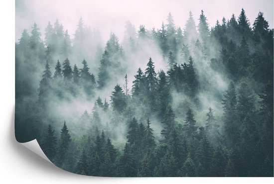 Fotobehang Bos In De Mist | bol.com