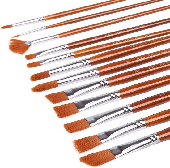 H&S Verf Borstels Set 12 stks Professionele Kunstenaar Verf Borstel ...