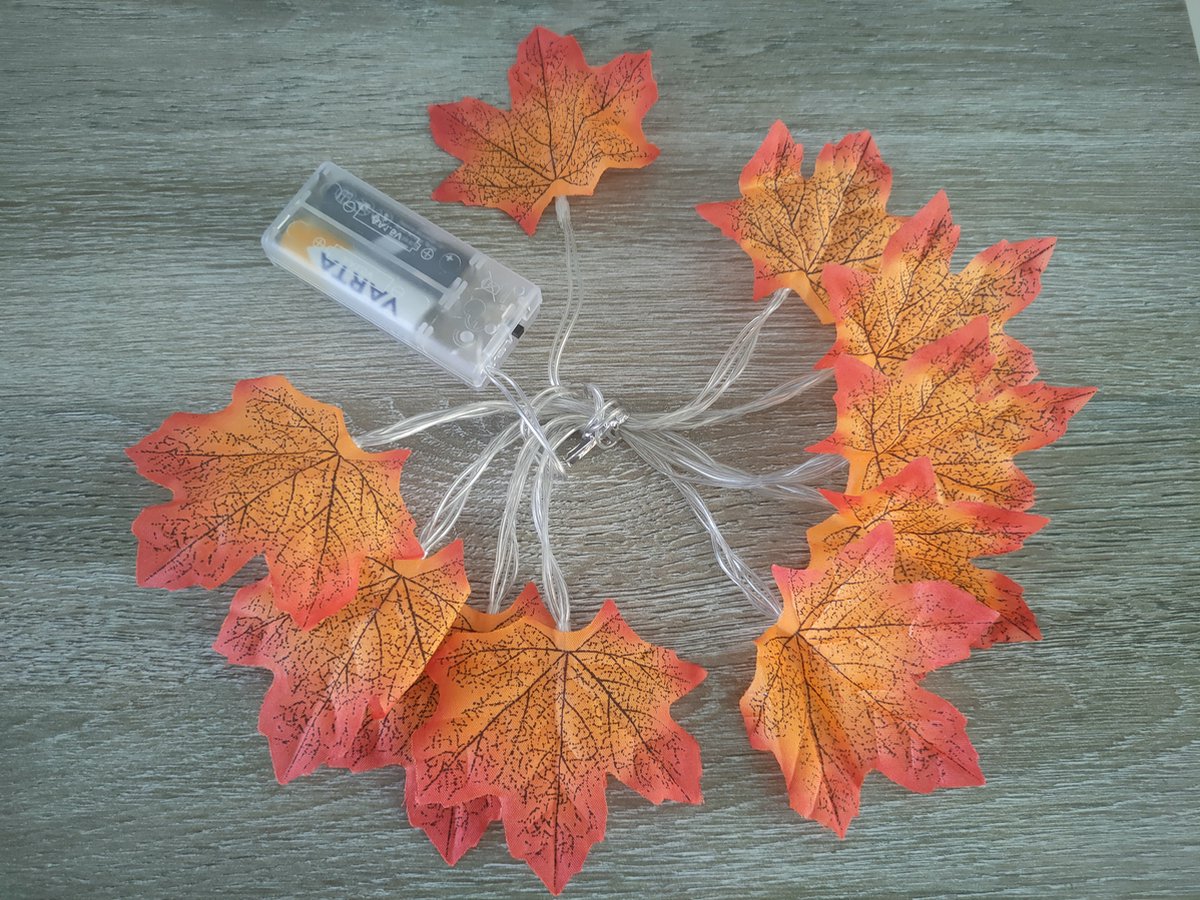Led slinger - Led blaadjes - Sfeer verlichting - Herfst - Kerst - 10 ...