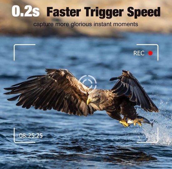 Caméra animalière avec vision nocturne - Vidéo 4K Ultra HD - Caméra ...