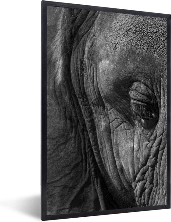 Fotolijst incl. Poster Zwart Wit- Olifant - Dieren - Close up - Zwart ...