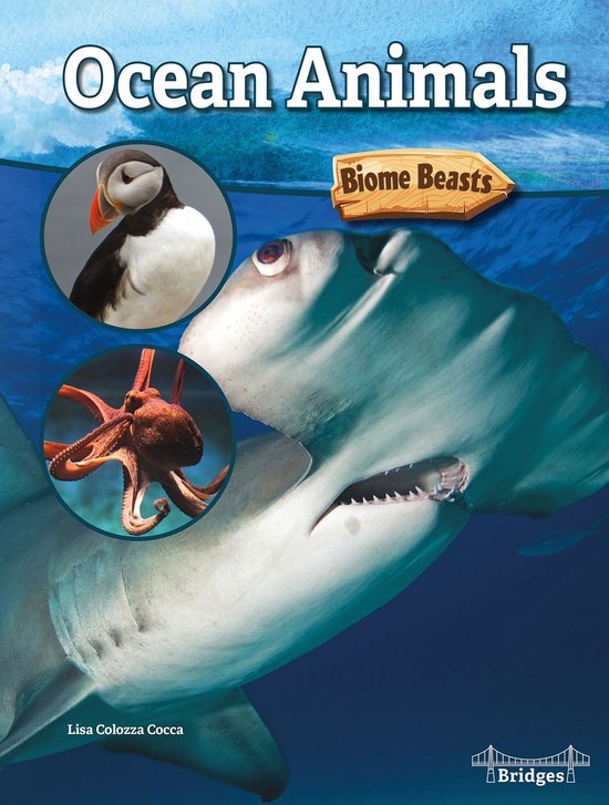 Biome Beasts - Ocean Animals (ebook), Lisa Colozza Cocca ...