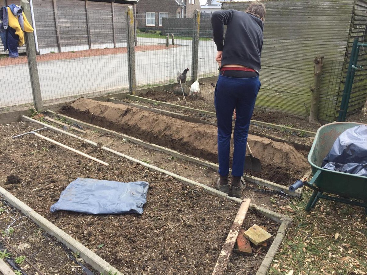 Schep Schop Schup - Zandschop Polet Traditional Handgesmeed steel 1,3 ...