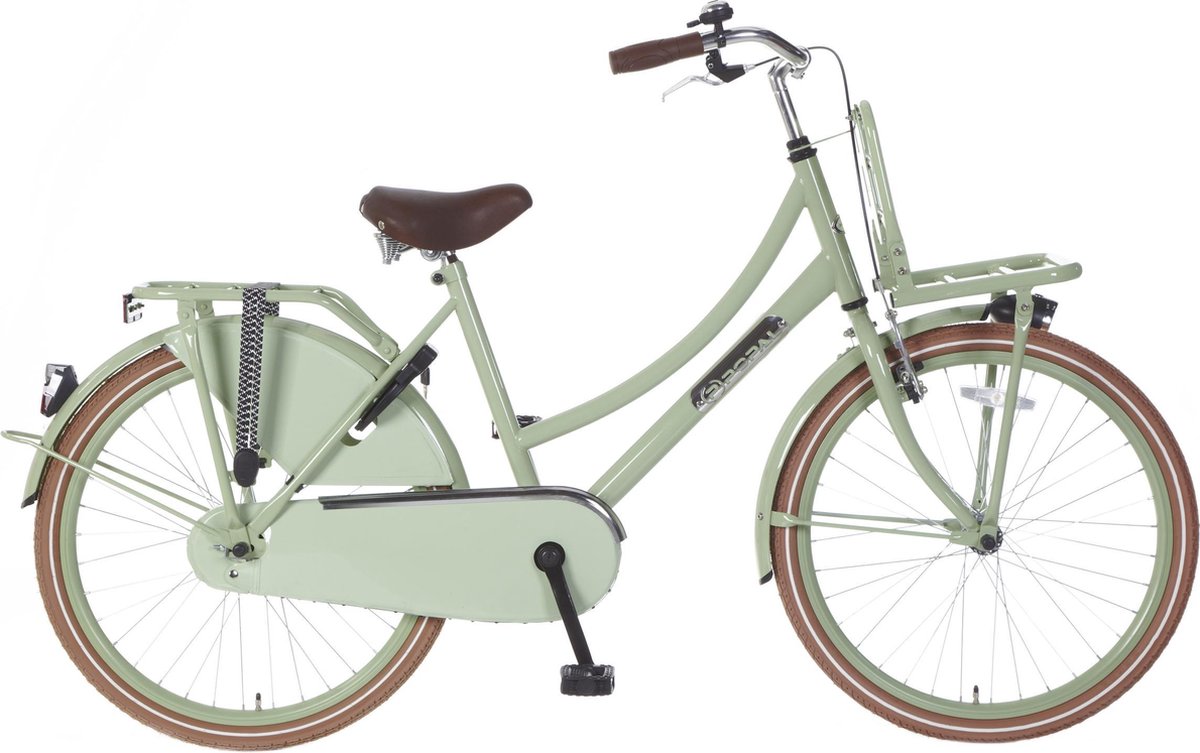 Popal Daily Dutch Basic TR24 - Transportfiets - 24 Inch - MintGroen ...