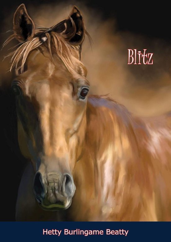 Blitz (ebook), Hetty Burlingame Beatty | 9781789125887 | Boeken | bol.com