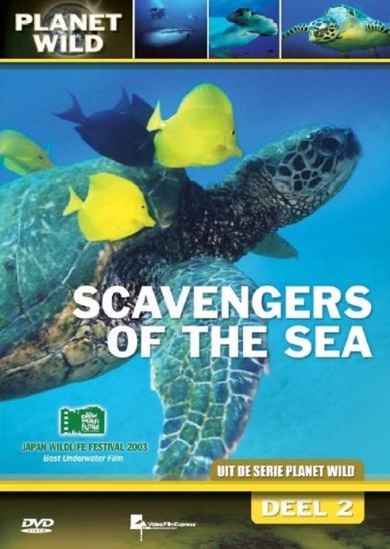 Special Interest - Scavengers Of The Sea (Dvd) | Dvd's | bol