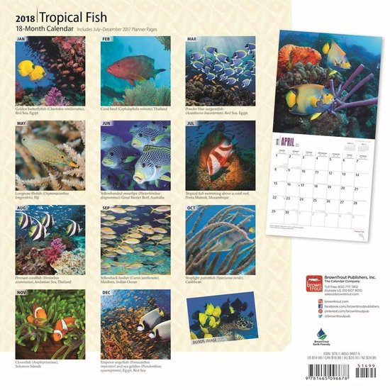 Tropical Fish 2018 Wall Calendar | bol.com