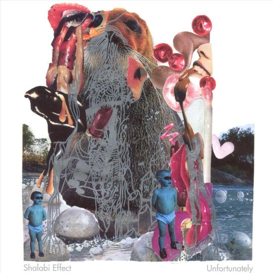 Unfortunately, Shalabi Effect | CD (album) | Muziek | bol.com