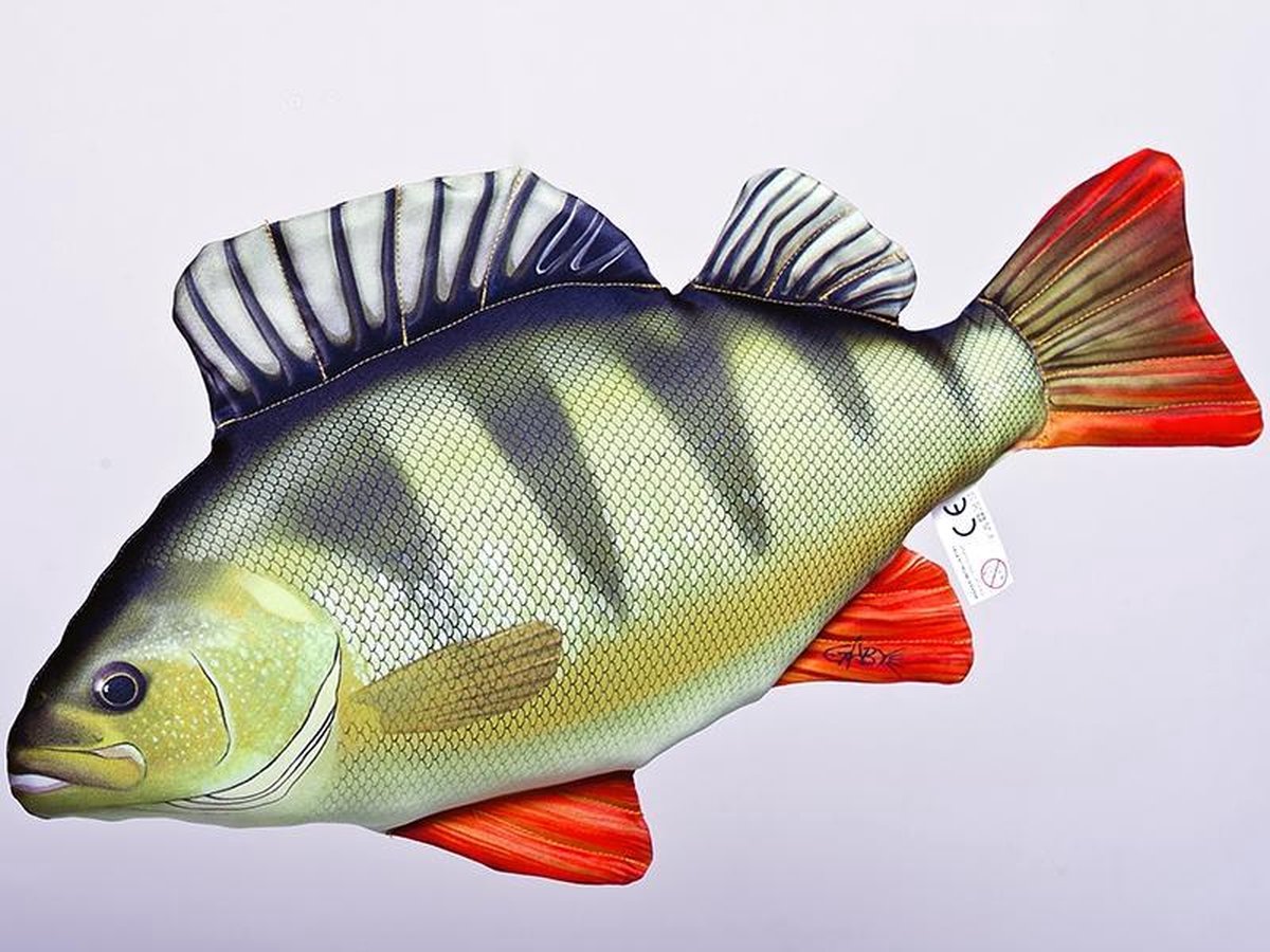 Gaby - Baars Kussen - Oranje - Knuffel | bol.com