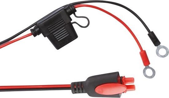 Carpoint Intelligente Acculader 6v / 12v 3,8a 183 Mm Zwart | bol