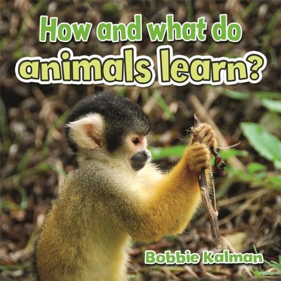 How & What Do Animals Learn, Bobbie Kalman | 9780778714682 | Boeken ...