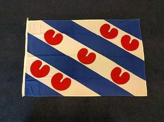 Friese vlag Friesland 200 x 300cm | bol