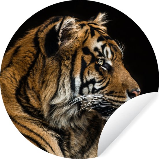 WallCircle - Muurstickers - Behangcirkel - Tijger - Dierenkop - Zwart - 30x30 cm -... | bol.com