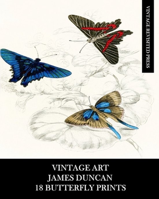 Vintage Art: James Duncan: 18 Butterfly Prints, Vintage Revisited Press ...