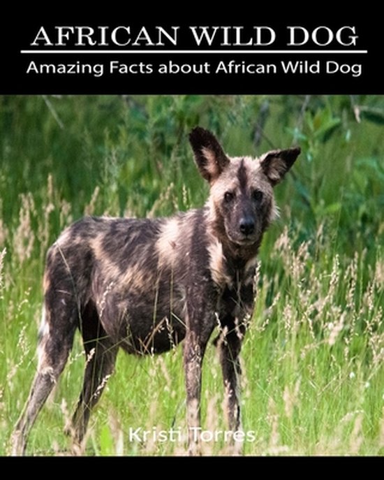 Amazing Facts about African Wild Dog, Kristi Torres | 9798466202373 ...
