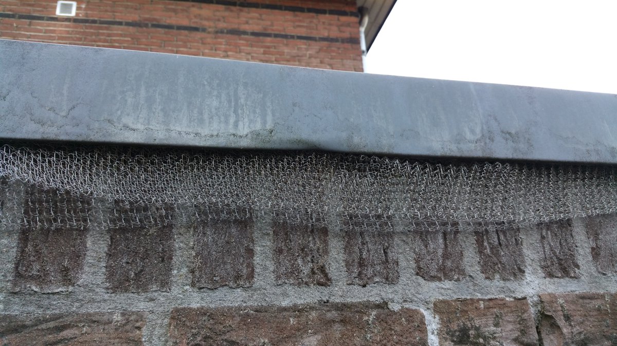 Netnox - 10 cm breed - RVS wering gaas - Muizen gaas - Muizengaas rvs ...