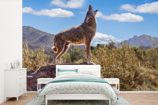 Behang - Fotobehang Huilende wolf in Arizona - Breedte 420 cm x hoogte ...