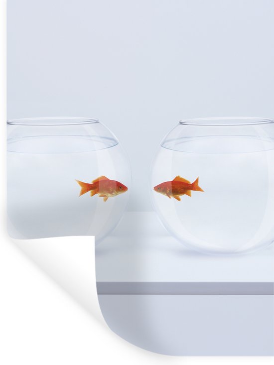 Sticker Muursticker Poisson rouge sur fond blanc - Deux poissons rouges ...