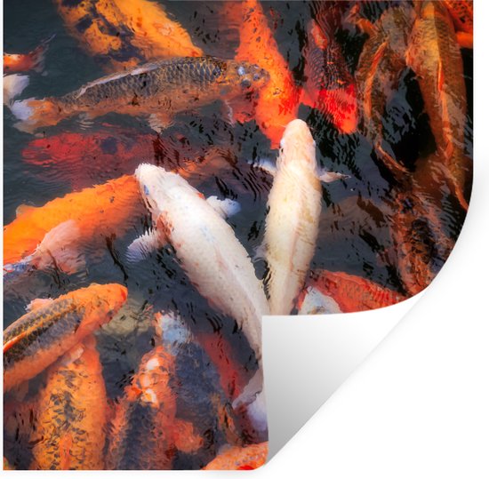 Muurstickers - Sticker Folie - Een vijver met koi karpers van bovenaf - 100x100 cm -... | bol