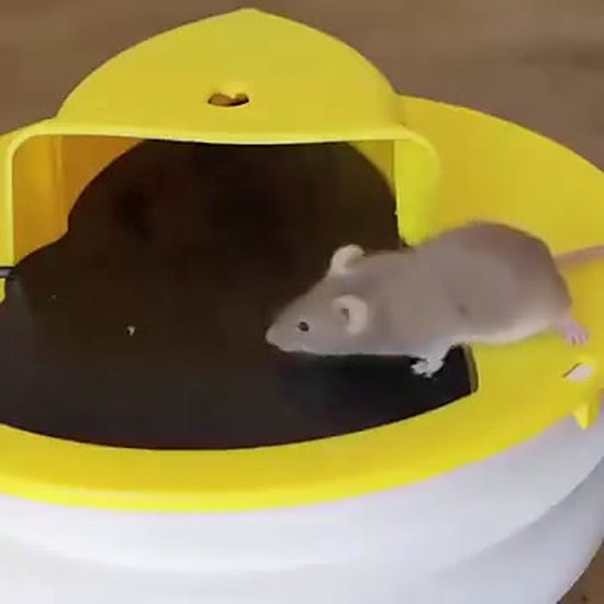 Vitafa Muizenval Diervriendelijke - Muizenval Emmer - Muizenvallen voor ...