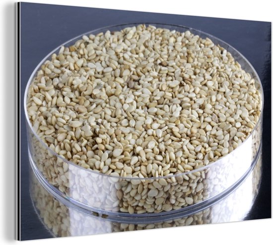 Boîte de Pétri pleine de graines de sésame et les petits détails de la ...