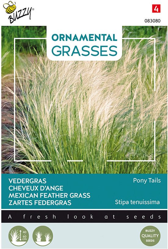 Buzzy zaden - Vedergras Pony tails - siergras | Ornamental Grasses | bol