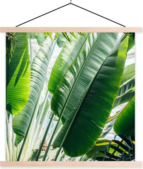 Posterhanger incl. Poster 90x90 cm - Schoolplaat - Zonnestralen ...