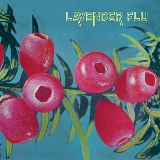 Lavender Flu - Mow The Glass (LP), Lavender Flu | CD (album) | Muziek | bol