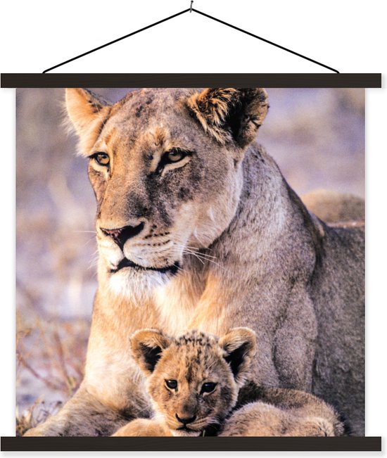 Porte-affiche avec affiche - Affiche scolaire - Lionne - Lion - Cub ...