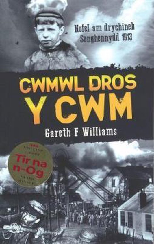 Cwmwl dros y Cwm, Gareth F. Williams | 9781845274405 | Boeken | bol.com