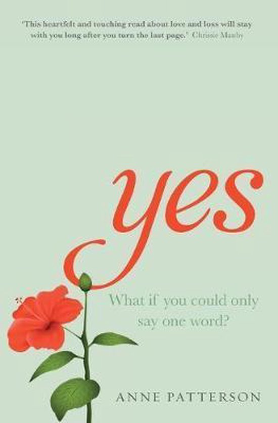 Yes, Anne Patterson | 9781909269804 | Boeken | bol
