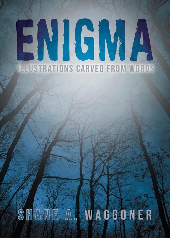 Enigma (ebook), Shane A. Waggoner | 9781647532598 | Boeken | bol