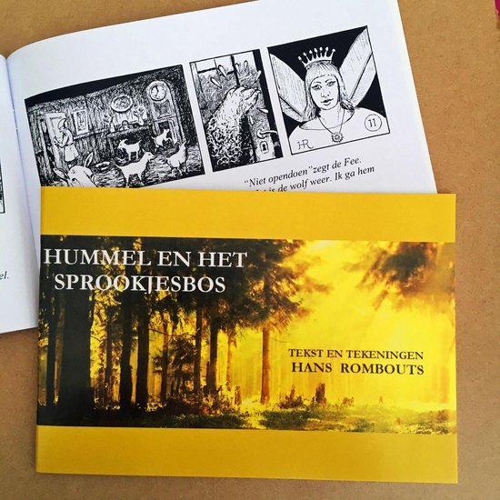 sprookje kabouter stripverhaal, Hans Rombouts | 9789464023190 | Boeken ...