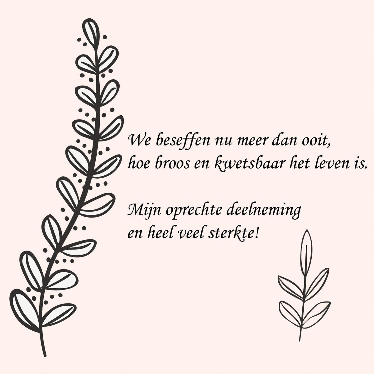 Condoleancekaarten - Set van 8 x condoleancekaart - 14 cm x 14 cm ...