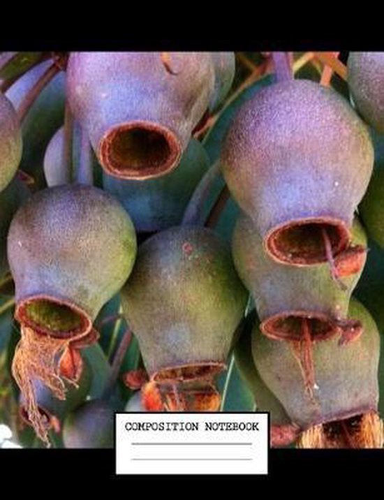 Composition Notebook: Back to School Flower Notebooks for Students ...