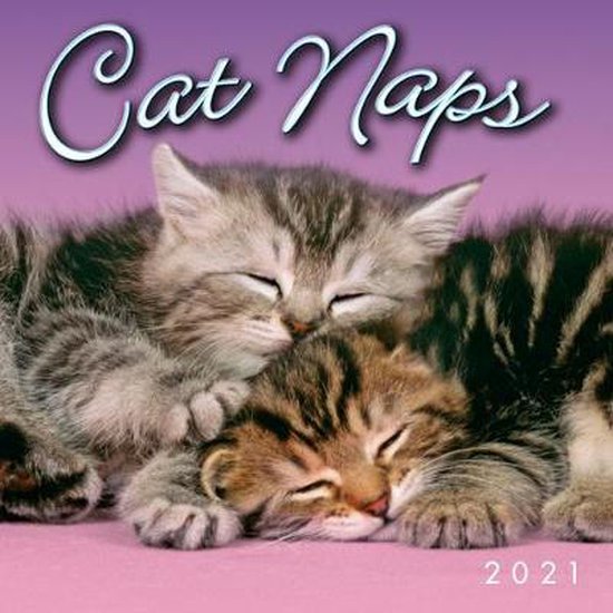 2021 Cat Naps Mini Calendar | bol.com