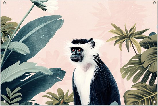 Monkey posters - Animal poster - Tuinposters Plants - Wanddecoratie ...