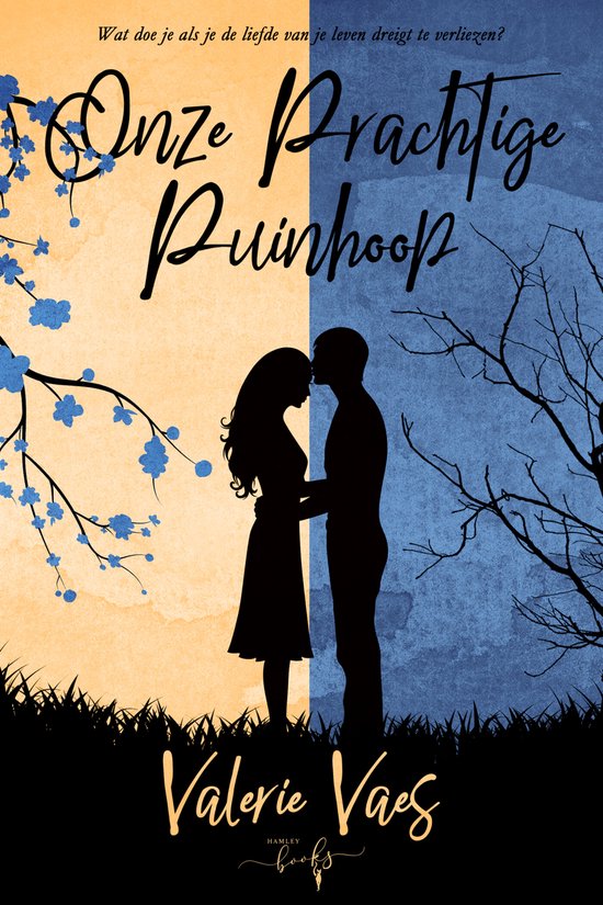 Onze prachtige puinhoop, Valerie Vaes | 9789464945416 | Boeken | bol