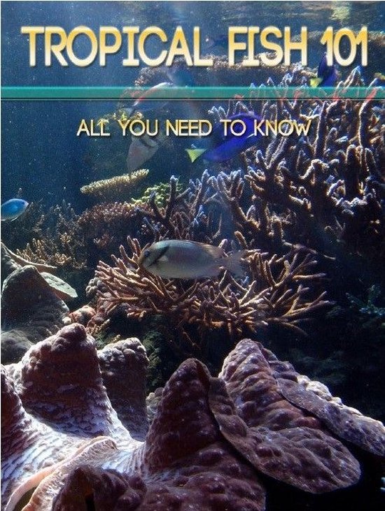 Tropical Fish 101 (ebook), Lynda Pollock | 1230006385187 | Boeken | bol