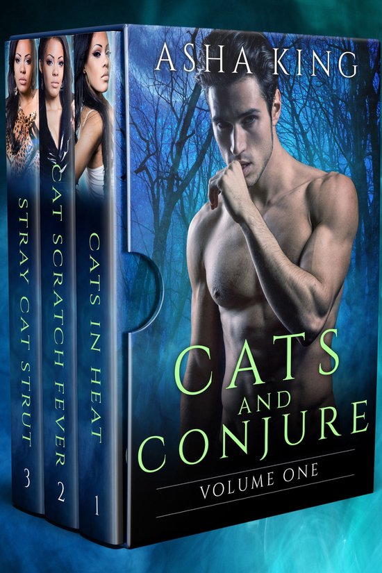 Cats & Conjure - Cats & Conjure Volume One (ebook), Asha King ...