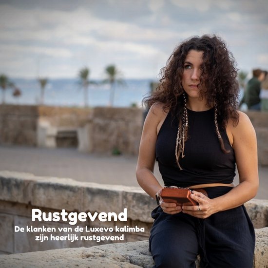 Luxevo Kalimba - 17 Tonen - Met Stemhamer, Tas en Notenboek | bol.com
