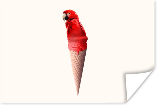 Poster IJs - Papegaai - Rood - IJshoorntjes - Wit - 120x80 cm | bol.com