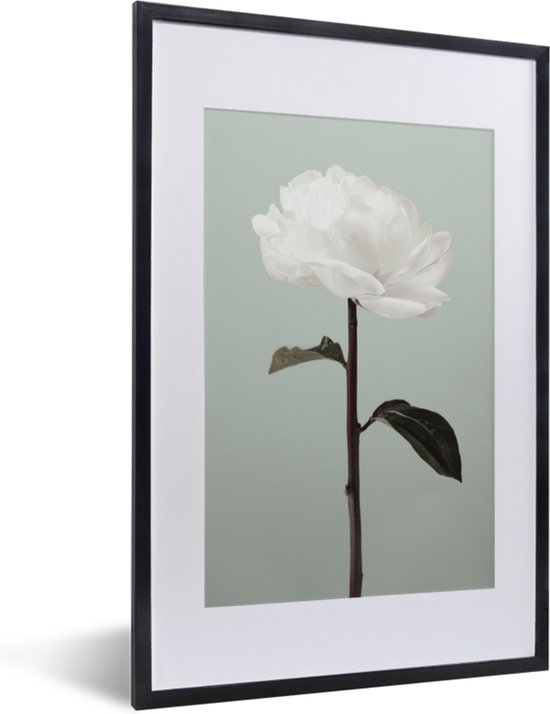 Fotolijst incl. Poster - Bloemen - Roos - Groen - Wit - Stilleven ...