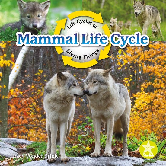 Life Cycles of Living Things - Mammal Life Cycle (ebook), Tracy Vonder ...