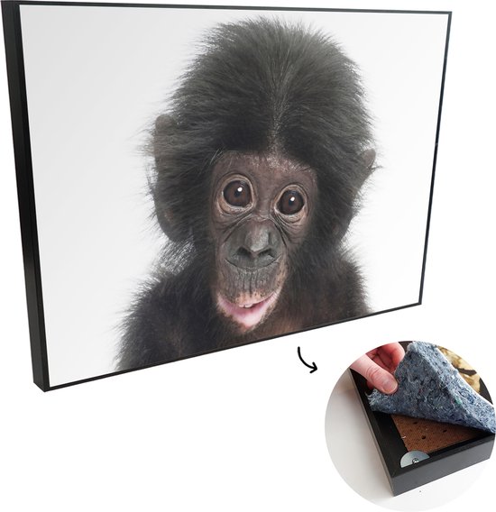 Aap - Dieren - Natuur - Chimpansee | bol.com