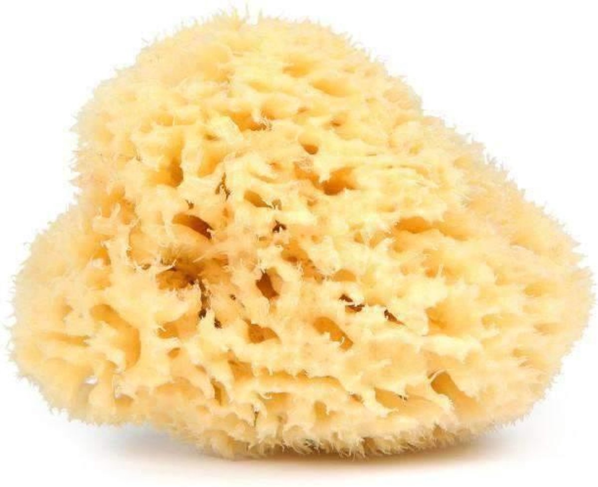 Natuurlijke Middellandse Zee Spons - Najel 9-10 cm | bol.com